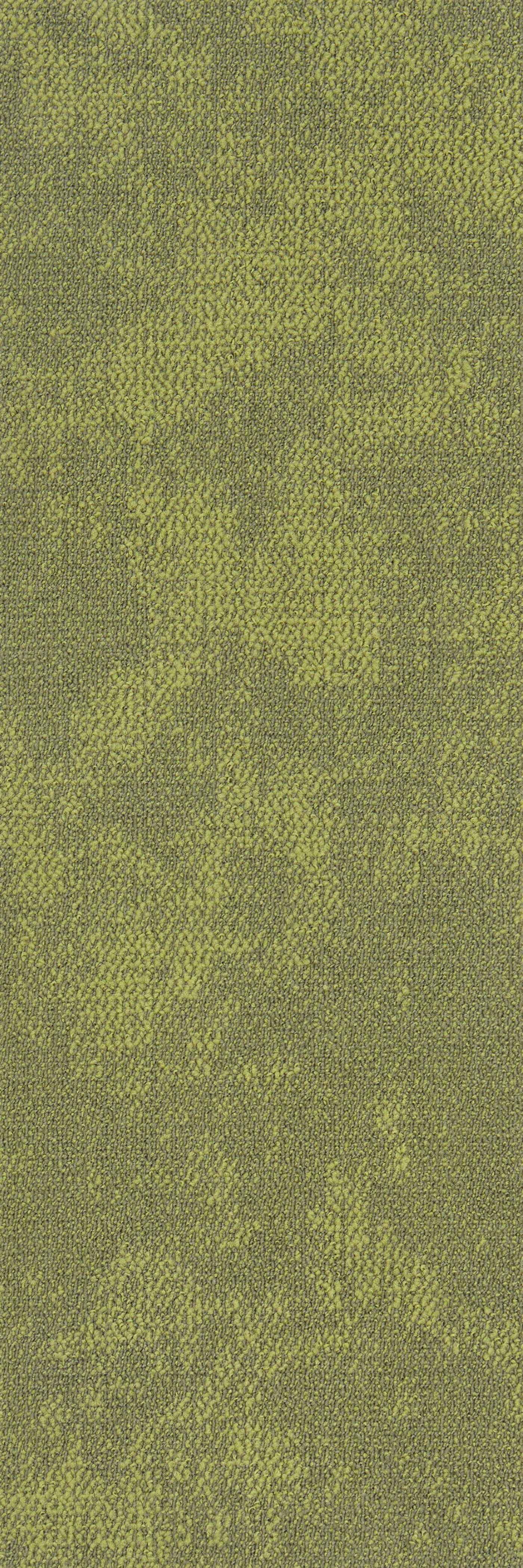 PRODUCTS 产品系列